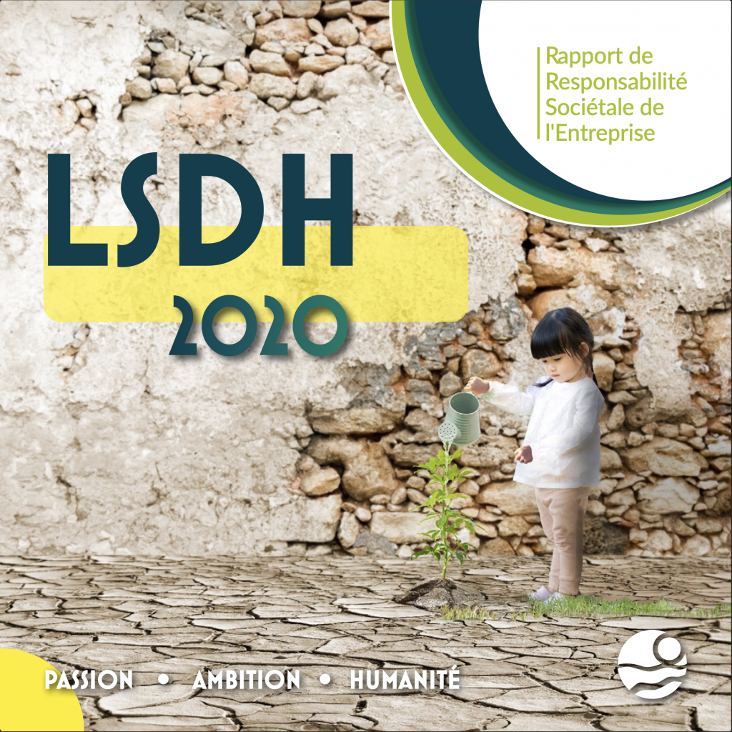 Rapport RSE LSDH 2020 - LSDH