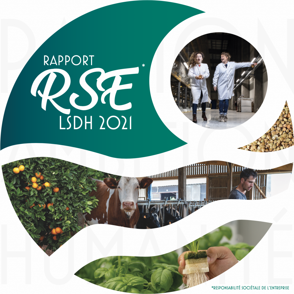 LSDH 2021 CSR report - LSDH